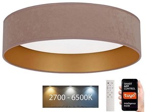 Brilagi - LED Stmívatelné svítidlo VELVET SMART LED/24W/230V Wi-Fi Tuya + DO