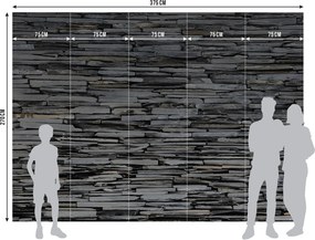 Fototapeta na zed' Břidlicová Stěna | 360 x 254 cm | DFTS1313