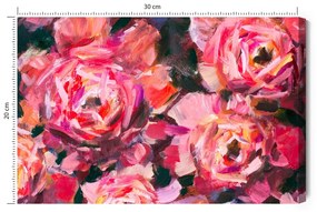 Obraz Abstraktní Malba Růží Nedostatek Nedostatek Přírodní plátno 30x20