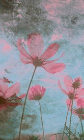DIMEX | Vliesová fototapeta na zeď Abstrakt růžové květy MS-2-0362  | 150 x 250 cm | růžová, modrá, vícebarevná