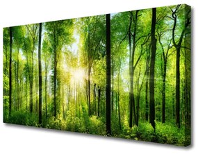 Obraz na plátně Les Příroda 125x50 cm