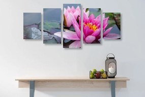 5-dílný obraz růžový lotosový květ Varianta: 200x100