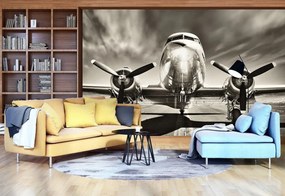 Postershop Fototapeta: Letadlo (černobílé) - 184x254 cm