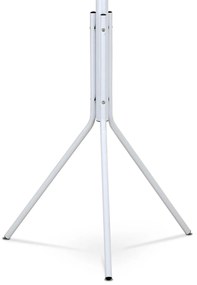 Autronic Věšák stojanový, výška 174 cm, kovová konstrukce, bílý matný lak, nosnost 6 kg