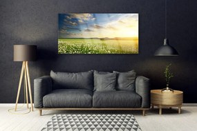 Plexisklo-obraz Louka Květiny Krajina 120x60 cm