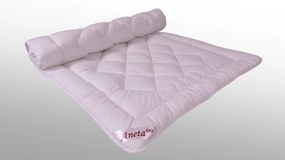 2G Přikrývka Aneta 220x135(1100g)