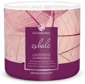 Goose Creek Candle svíčka Aromatherapy Lavender & Chamomile, 411 g