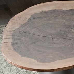konferenční stolek Rio bílá/ořech, Cattelan Italia - Výška 35 cm - Výška 42 cm