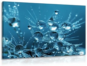 Malvis ® Obraz kapky vody - pampeliška Velikost (šířka x výška): 60x40 cm