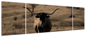 Obraz - Texaská kráva (170x50 cm)