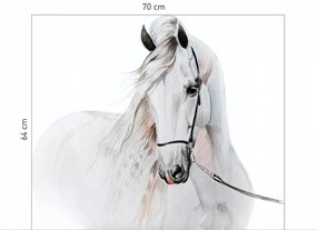 Úžasná nálepka na zeď sněhovo bílý kůň 115 x 127 cm
