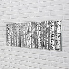 akrylový obraz Černá a bílá strom 120x60 cm