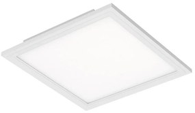 Briloner 7191-016 - LED Stropní svítidlo SIMPLE LED/12W/230V