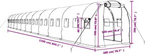 vidaXL Skleník s ocelovým rámem 44 m² 22 x 2 x 2 m [3188037] Barva: Zelená