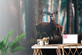 Samolepící fototapeta jelen v lese - 150x100 cm
