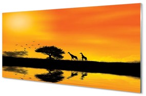 Obraz na skle Žirafy tree west lake 125x50 cm