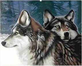 NORIMPEX Malování podle čísel Vlci v lese / 40x50 cm