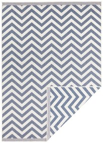 NORTHRUGS - Hanse Home koberce Kusový koberec Twin Supreme 103435 Palma blue creme – na ven i na doma - 80x150 cm