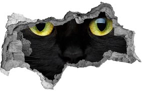 Wallmuralia Nálepka 3D díra na zeď Kočičí oči 95x73 cm
