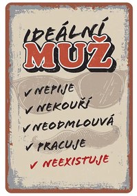Retro plechové cedule Plechová cedule Ideální muž BU20054