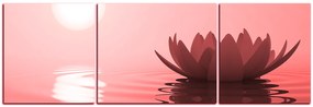 Obraz na plátně - Zen lotus - panoráma 5167CC (150x50 cm)