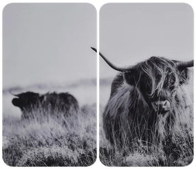 Kryty na sporák v sadě 2 ks z tvrzeného skla 30x52 cm Universal Highland Cattle – Wenko