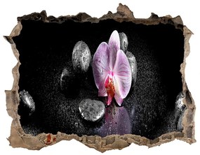 Wallmuralia Samolepící díra na stěnu nálepka Orchidej 95x64 cm