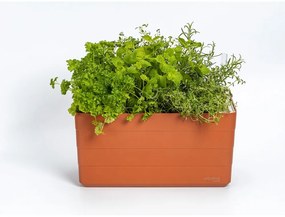 Plastový samozavlažovací truhlík 39,5 cm Berberis – Plastia