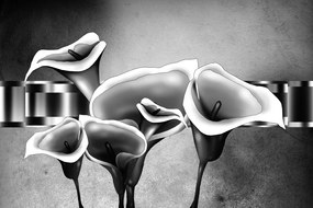 Samolepící tapeta černobílé elegantní květiny kaly - 225x150 cm