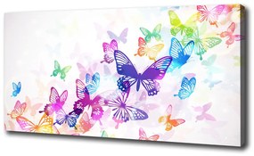 Wallmuralia Foto obraz na plátně do obýváku Barevní motýli 100x50