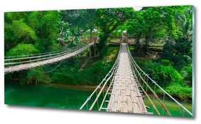 Wallmuralia Fotoobraz na skle Most nad řekou 100x50