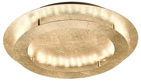 Paul Neuhaus 9621-12 - LED Stropní svítidlo NEVIS LED/24W/230V
