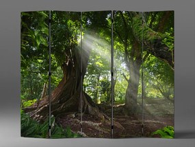 Liox PARAVÁN strom v deštném pralese Rozměr: 225 x 180 cm