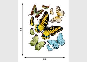 Samolepka na zeď Variace Barevných Motýlů | 65 x 85 cm | DF1069