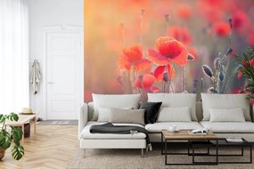 Fototapeta Poppy Field Hladký vinyl 135x90