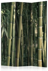 Paraván - Bamboo Exotic [Room Dividers]