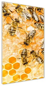 Wallmuralia Vertikální Fotoobraz na skle Pracující včely 50x100