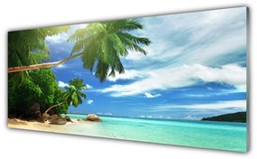 akrylový obraz Palma Pláž Moře Krajina 125x50 cm