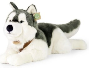 Rappa Plyšový pes husky s obojkem ležící 60 cm ECO-FRIENDLY