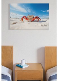 Obraz na plátně - červený krab na písečné pláži FeelHappy.cz Velikost obrazu: 120 x 80 cm