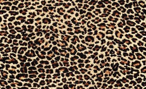 Fototapeta - Leopardí srst (254x184 cm)
