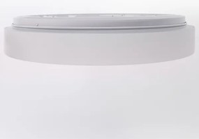 Brilagi - LED Stmív. strop. svítidlo WALDO LED/48W/230V pr. 40 cm bílá/stříb.+DO