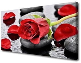 Obraz na plátně Růže Květ Kameny Zen 125x50 cm
