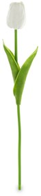 Umělý bílý tulipán se zelenými lístky 161456
