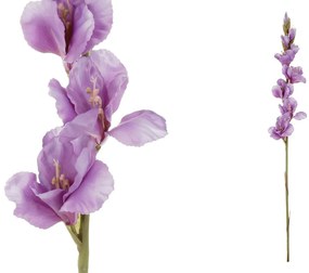 Gladiola KT7300 PUR, barva fialová