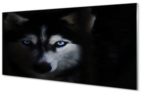 Obraz na skle wolf Eyes 100x50 cm