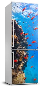 Wallmuralia Nálepka fototapeta lednička Korálový útes 60x180 cm