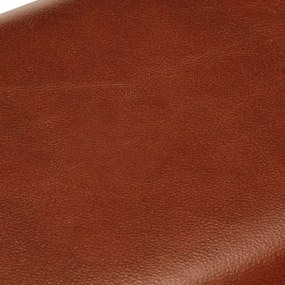 Lavice gymnastický kůň 58 cm hnědá pravá kůže a mangovník 320784