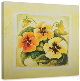 Obraz na plátně Květiny Příroda Žluté macešky - 30x30 cm