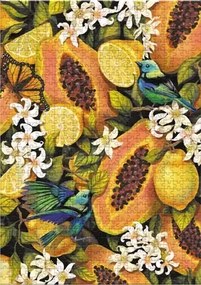 DODO Puzzle Botany: Tropické ovoce / 770 dílků / 48 x 64 cm